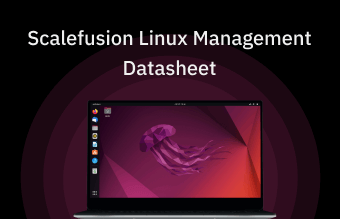 Scalefusion Resources : Data Sheets, Guides, Case Studies, Whitepaper, Infographics